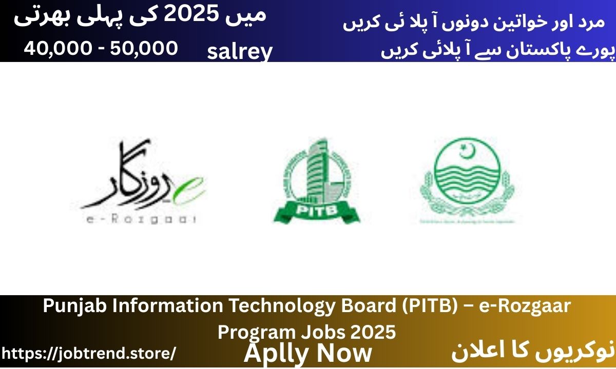 Punjab Information Technology Board (PITB) – e-Rozgaar Program Jobs ...